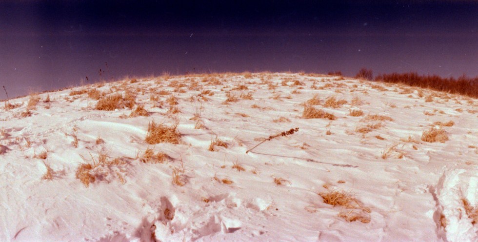 Horizon 202: la panoramica dall’ottica rotante | Holga My Dear